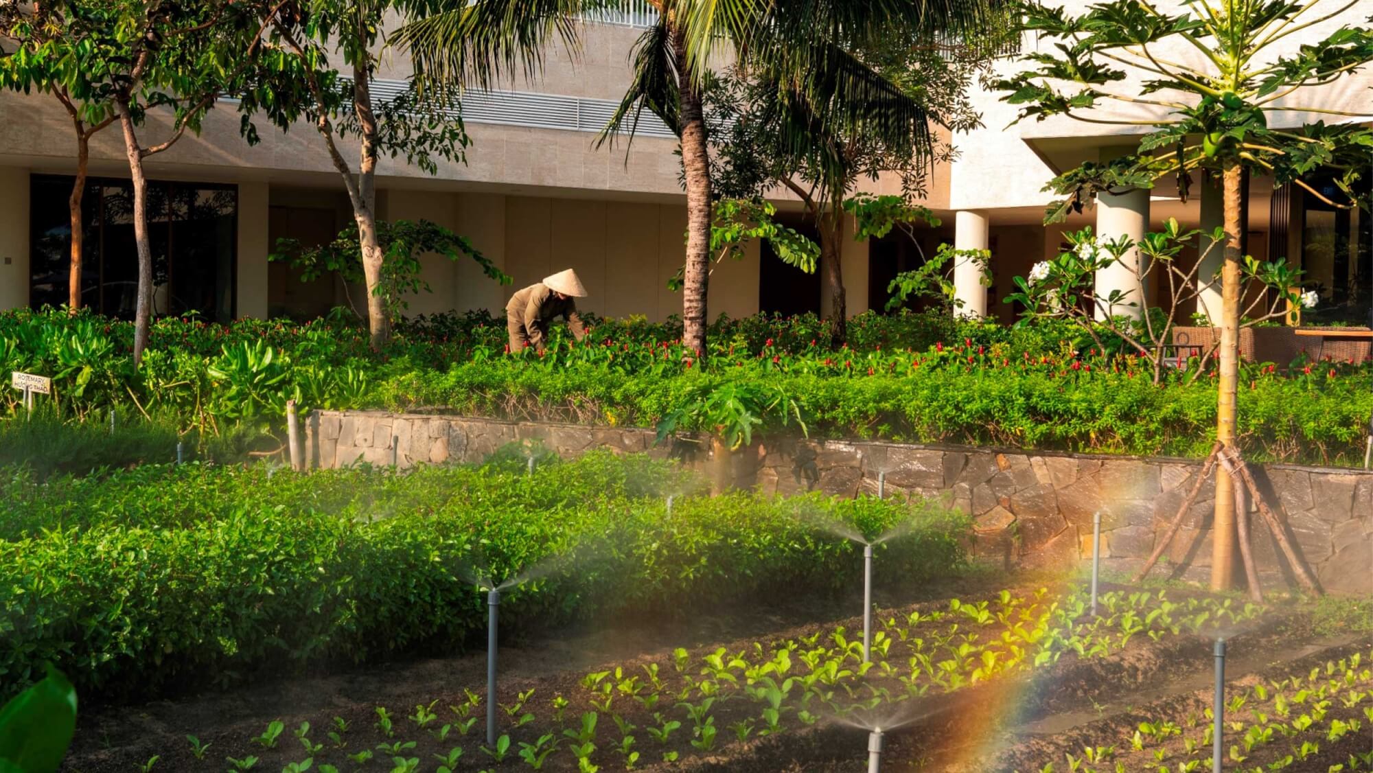 Alma Resort Cam Ranh, Vietnam - Luxury Redefined on the Coast