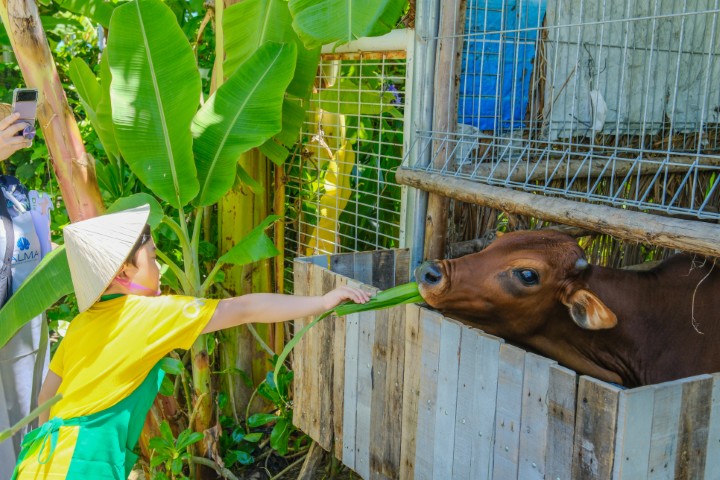 Alma Resort in Southern Vietnam Launches Family-Friendly ‘Alma ...